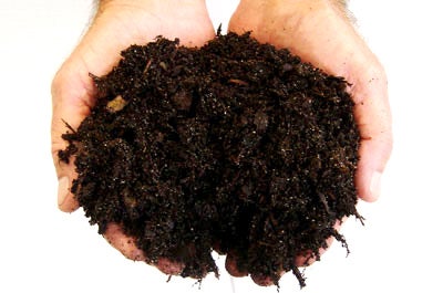 Raised Garden Bed / Nursery Soil (Bin 8) | Onsite Landscape Supply