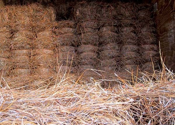 Bulk Mulch | Onsite Landscape Supply